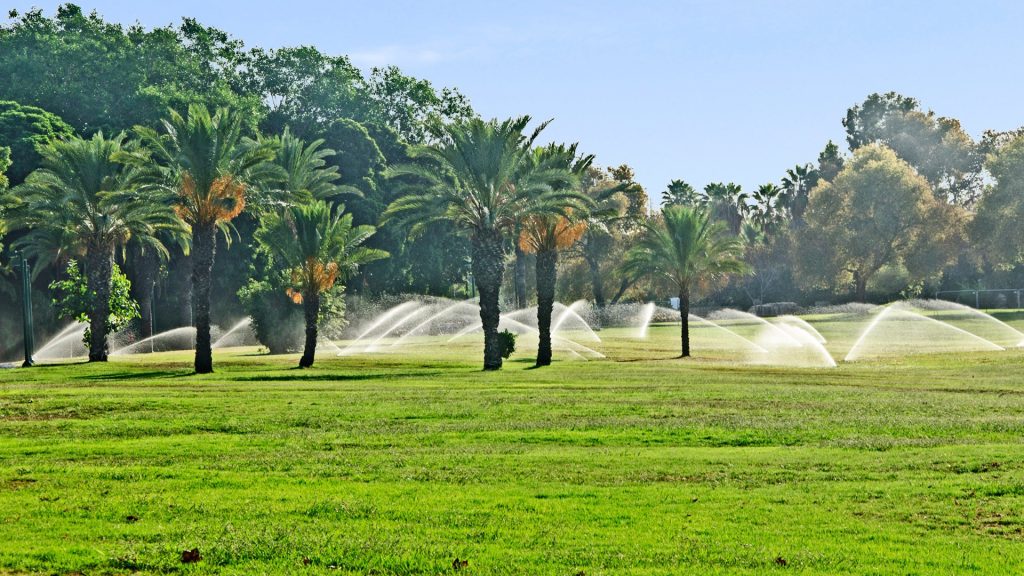 Understanding Dubai Weather: A Guide to Climate and Seasonal Variations